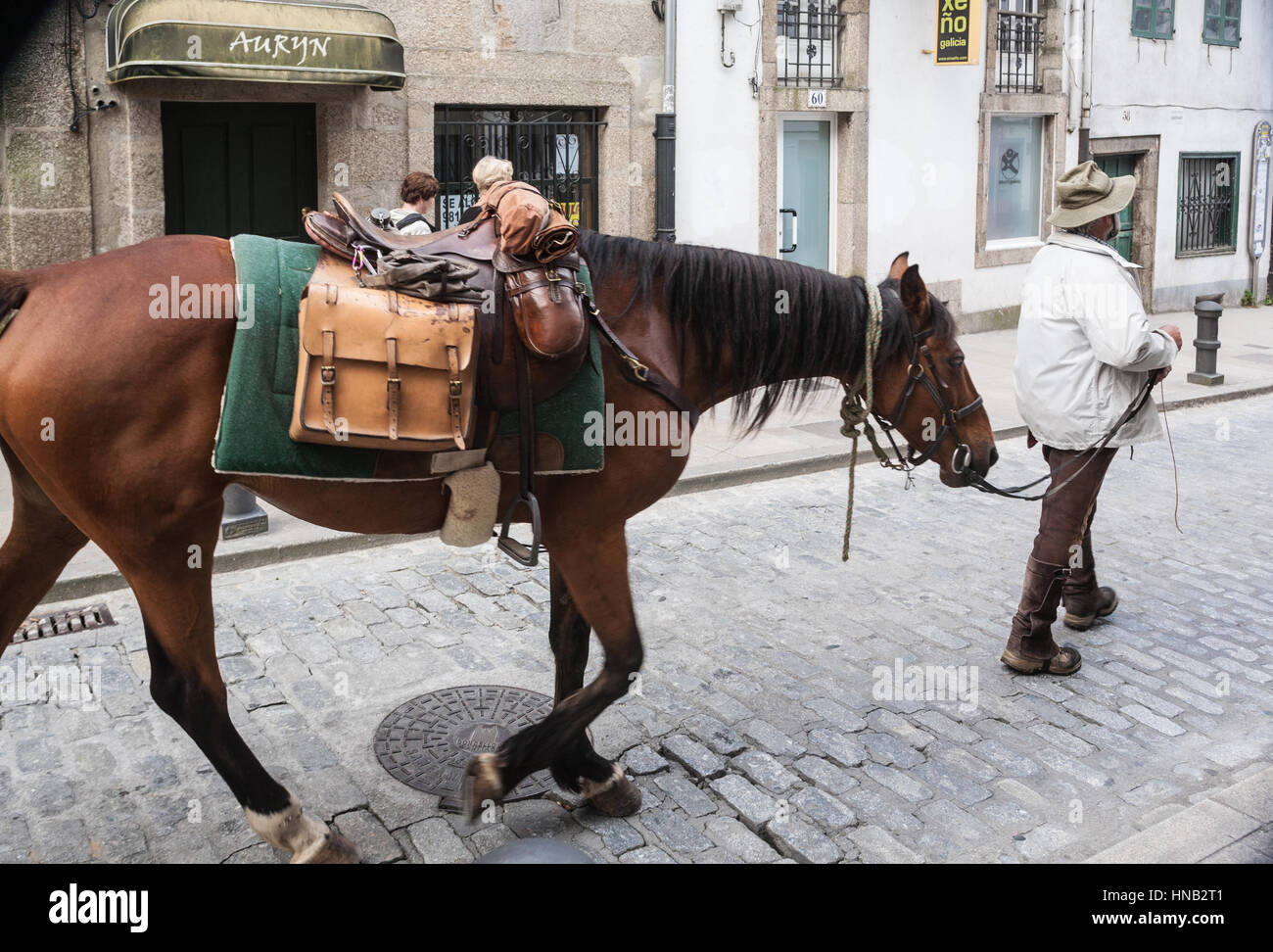 Pilgrim,pilgrims,pilgrimage,walk,walking, arriving in Santiago,De ...