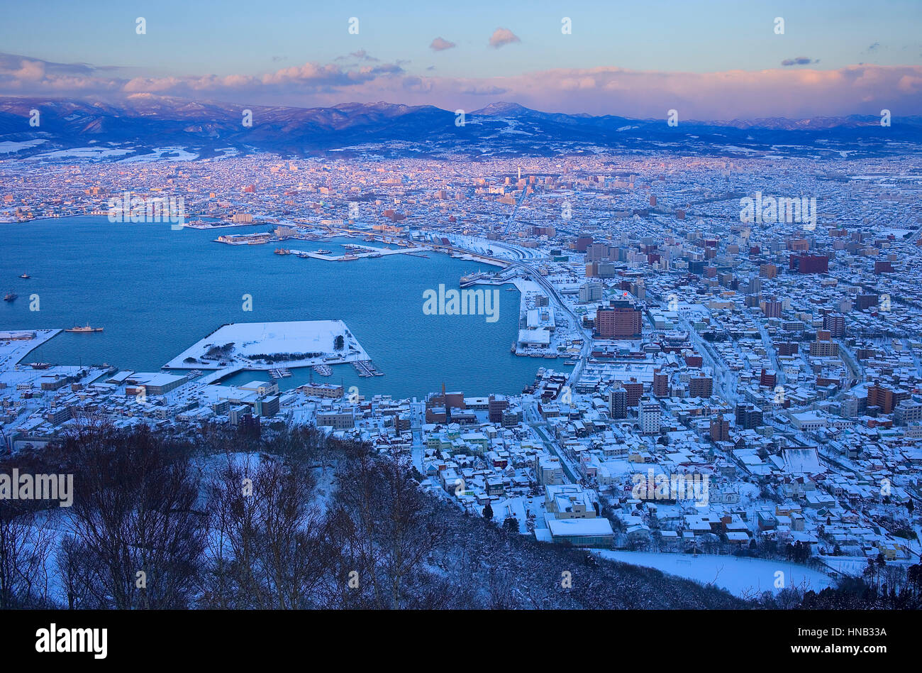 Panorama, panoramic, townscape, View from Hakodateyama (Mount Hakodate ...