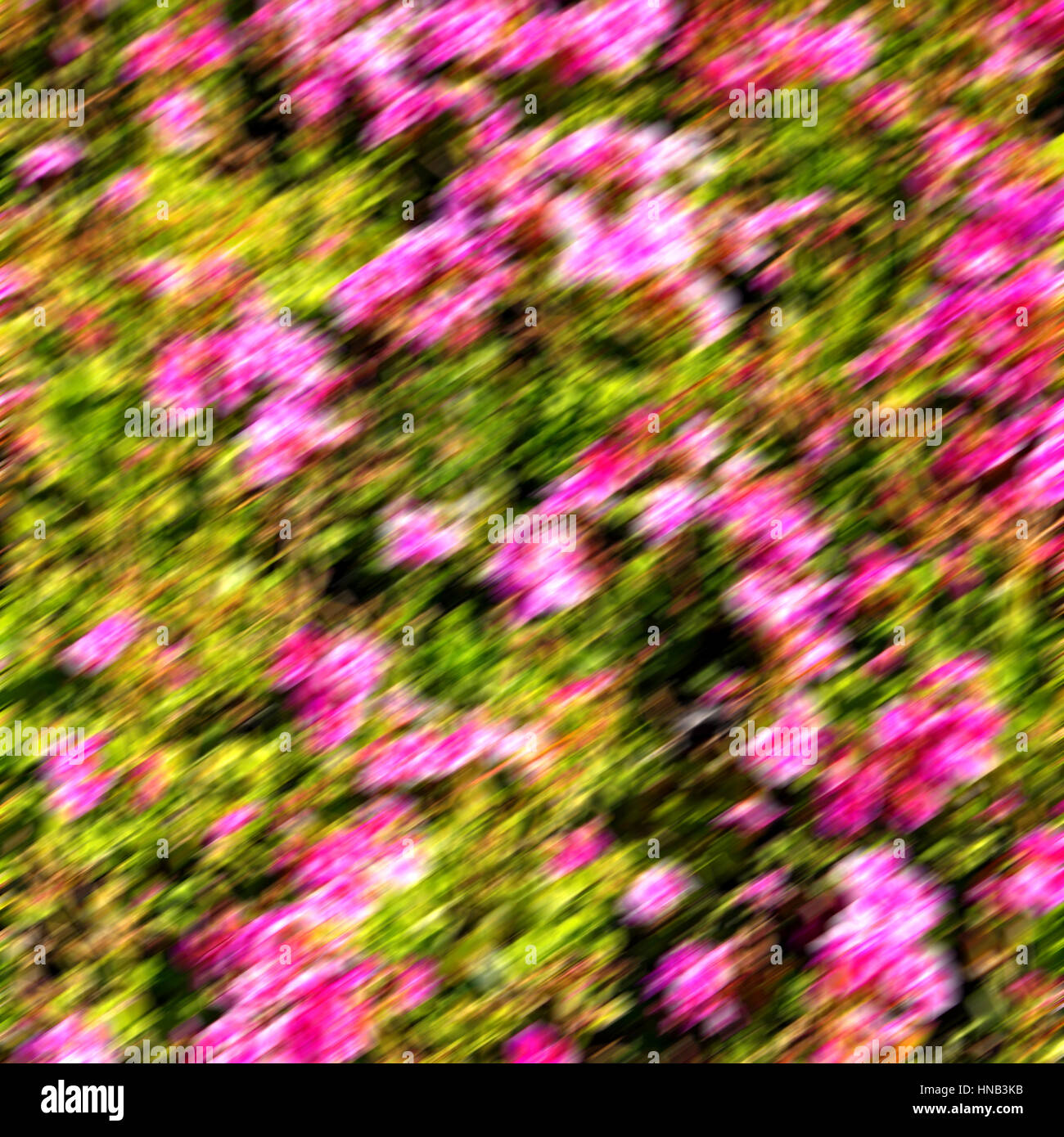 blur in the spring colors flowers and garden Stock Photo - Alamy