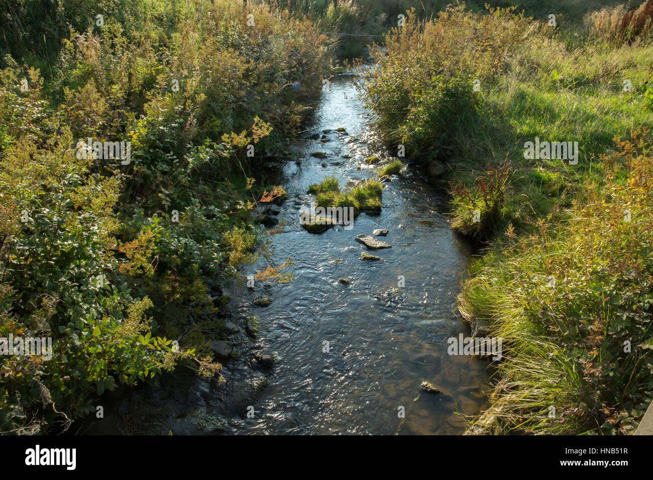 scottish burn (stream Stock Photo - Alamy