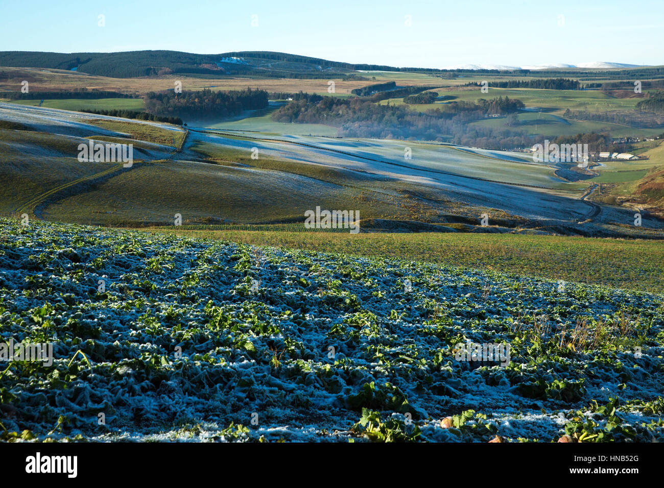 scottish borders hills winter Stock Photo - Alamy