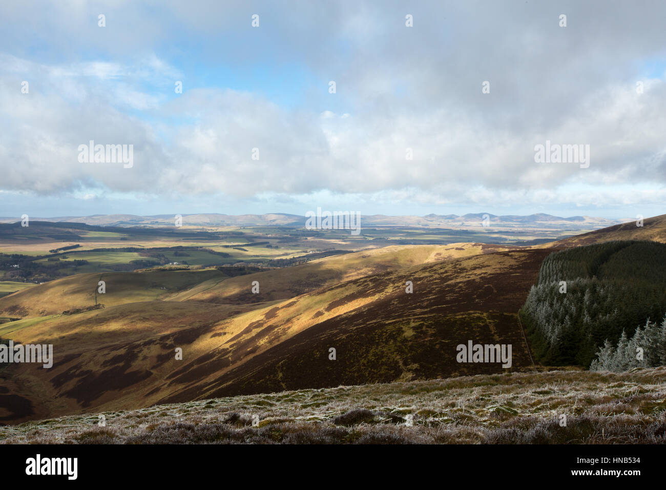 Borders countryside hi-res stock photography and images - Alamy