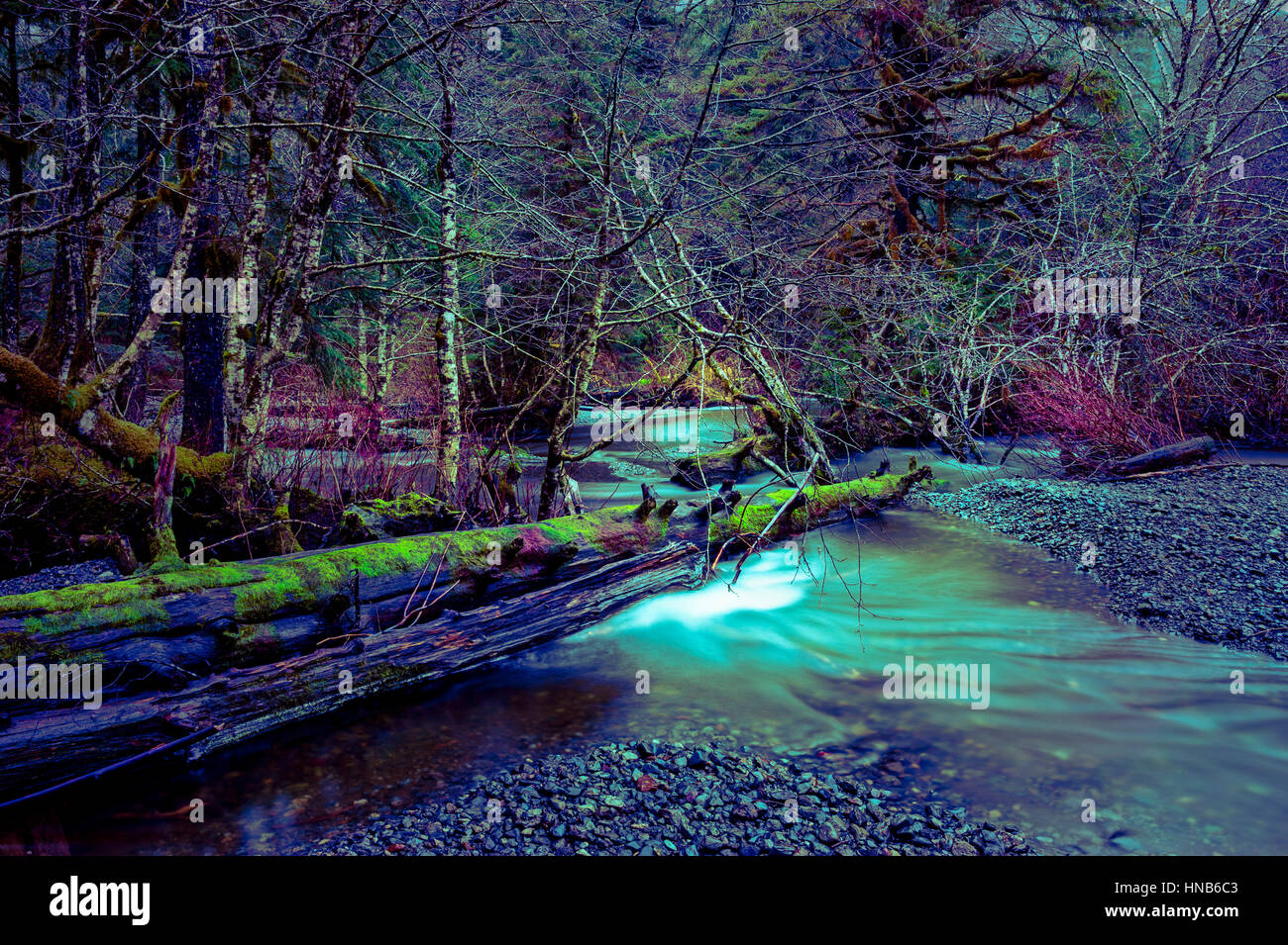 Starrigavan River downstream from Nelson Logging Road near Sitka ...