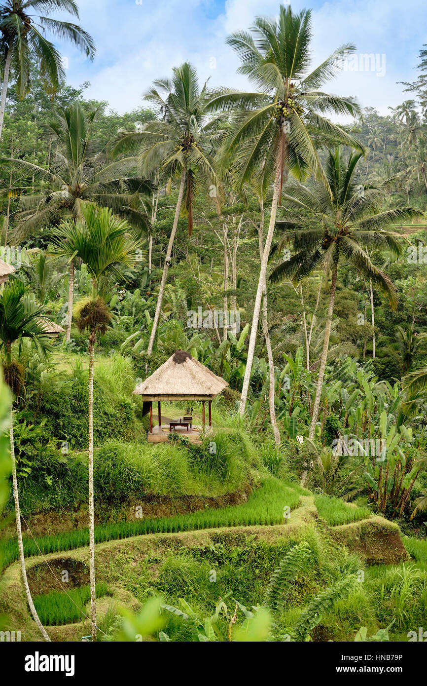 The little hut hi-res stock photography and images - Alamy