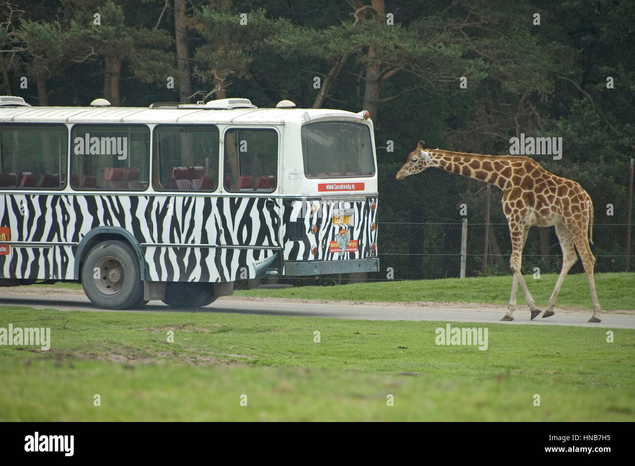 Safari bus zoo hi-res stock photography and images - Alamy