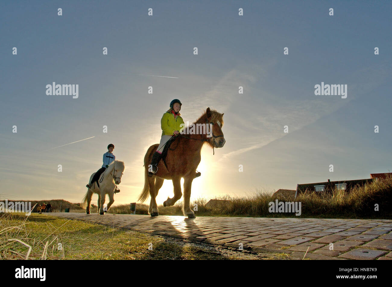 beautiful horse riding in nature, The Netherlands Stock Photo - Alamy