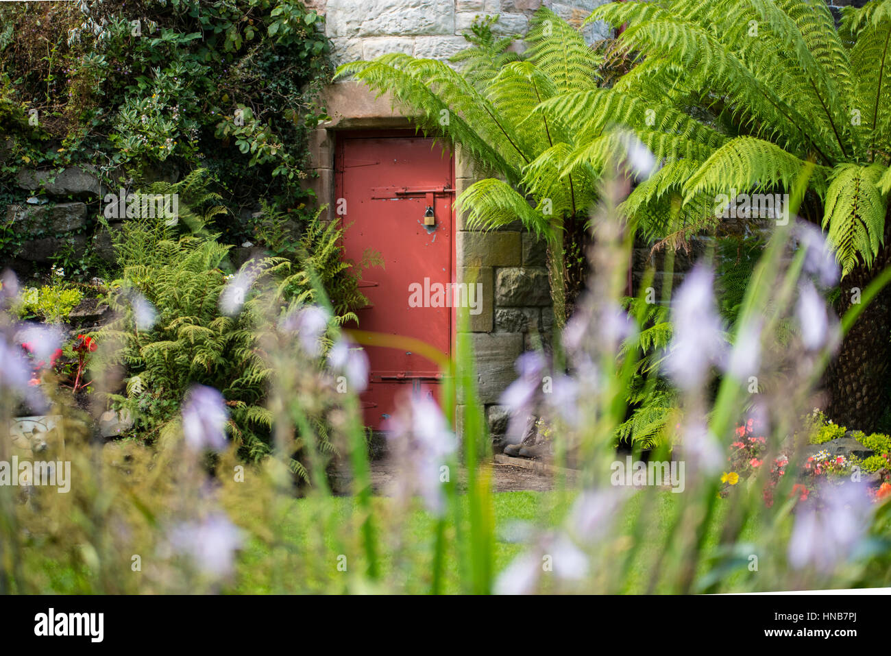 Outside door in garden Stock Photo - Alamy