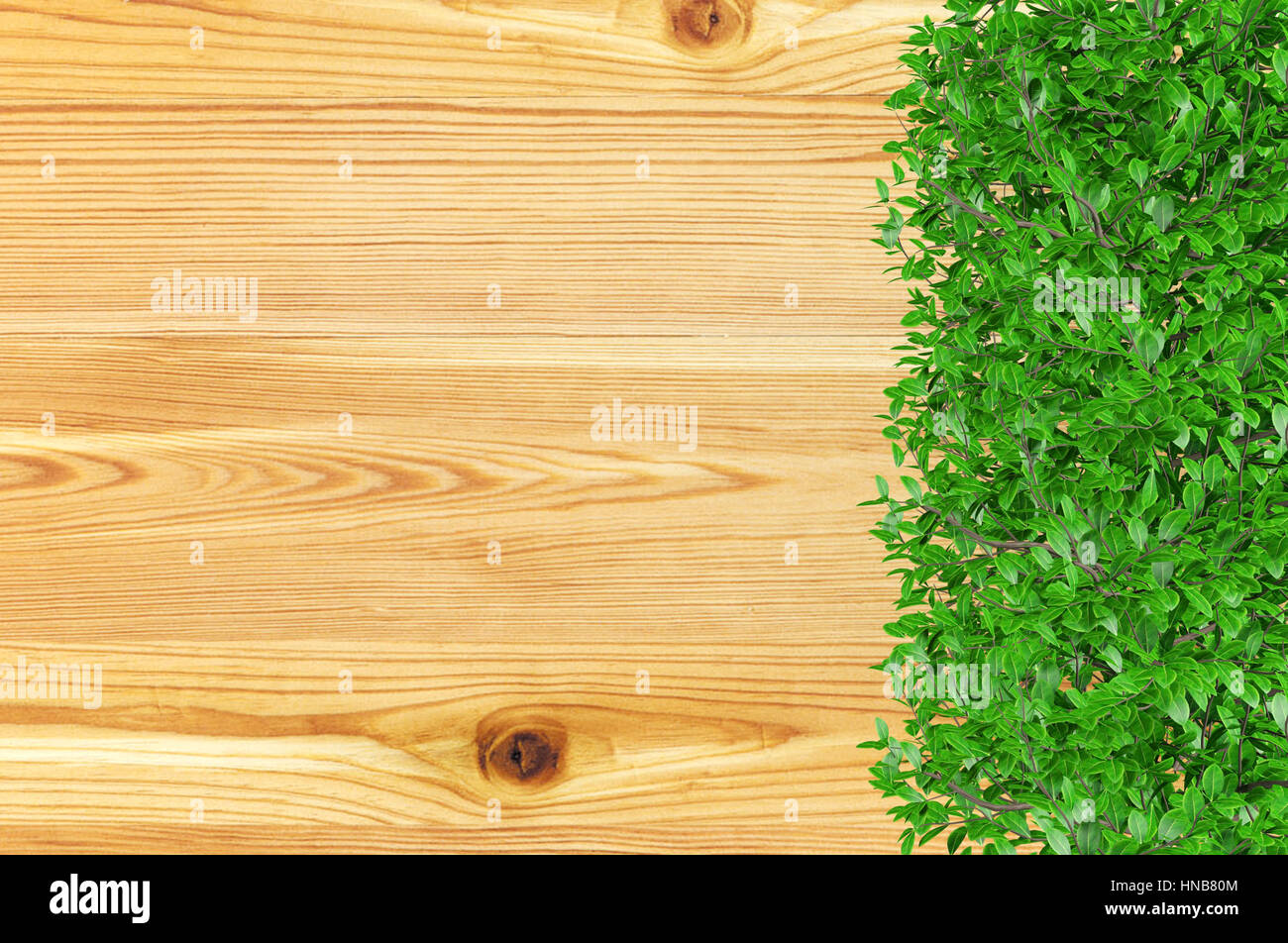 Wooden board background with green bush plant leaves at the bottom ...