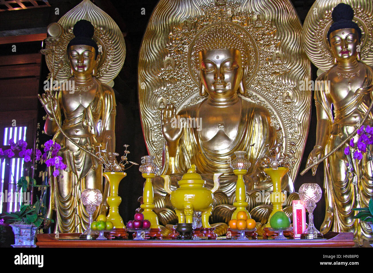 Honkong, China,13 december 2006: Golden buddha statues at Chi Lin ...