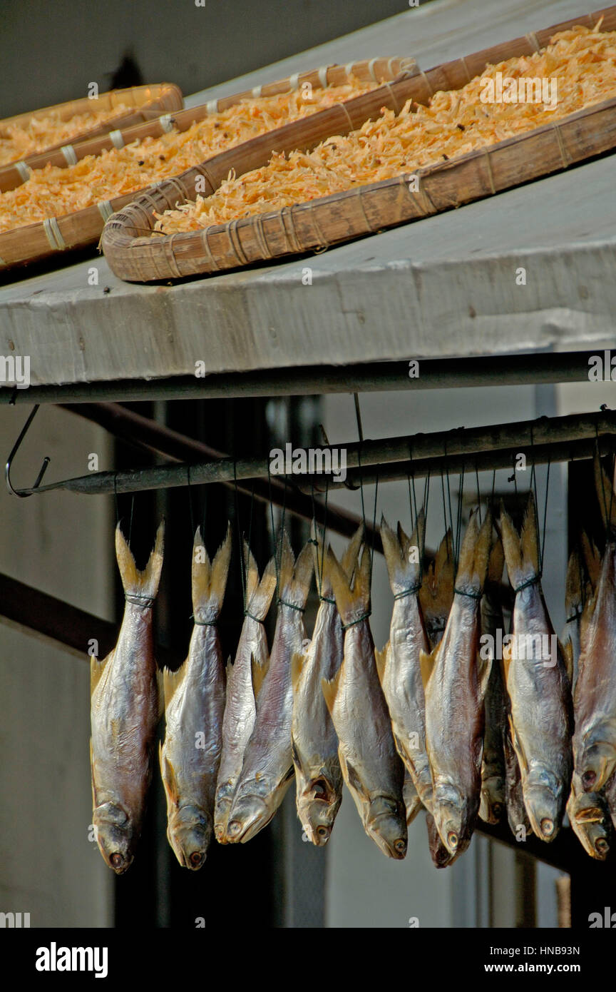 drying fish at traditional village Tai O near Hongkong Stock Photo - Alamy