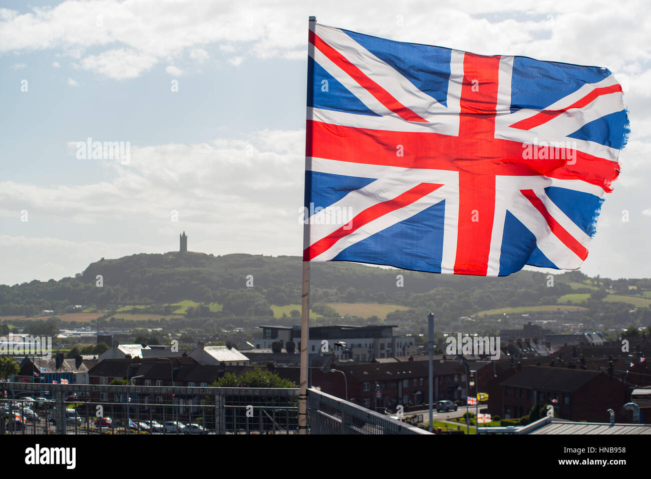 Loyalists Flag