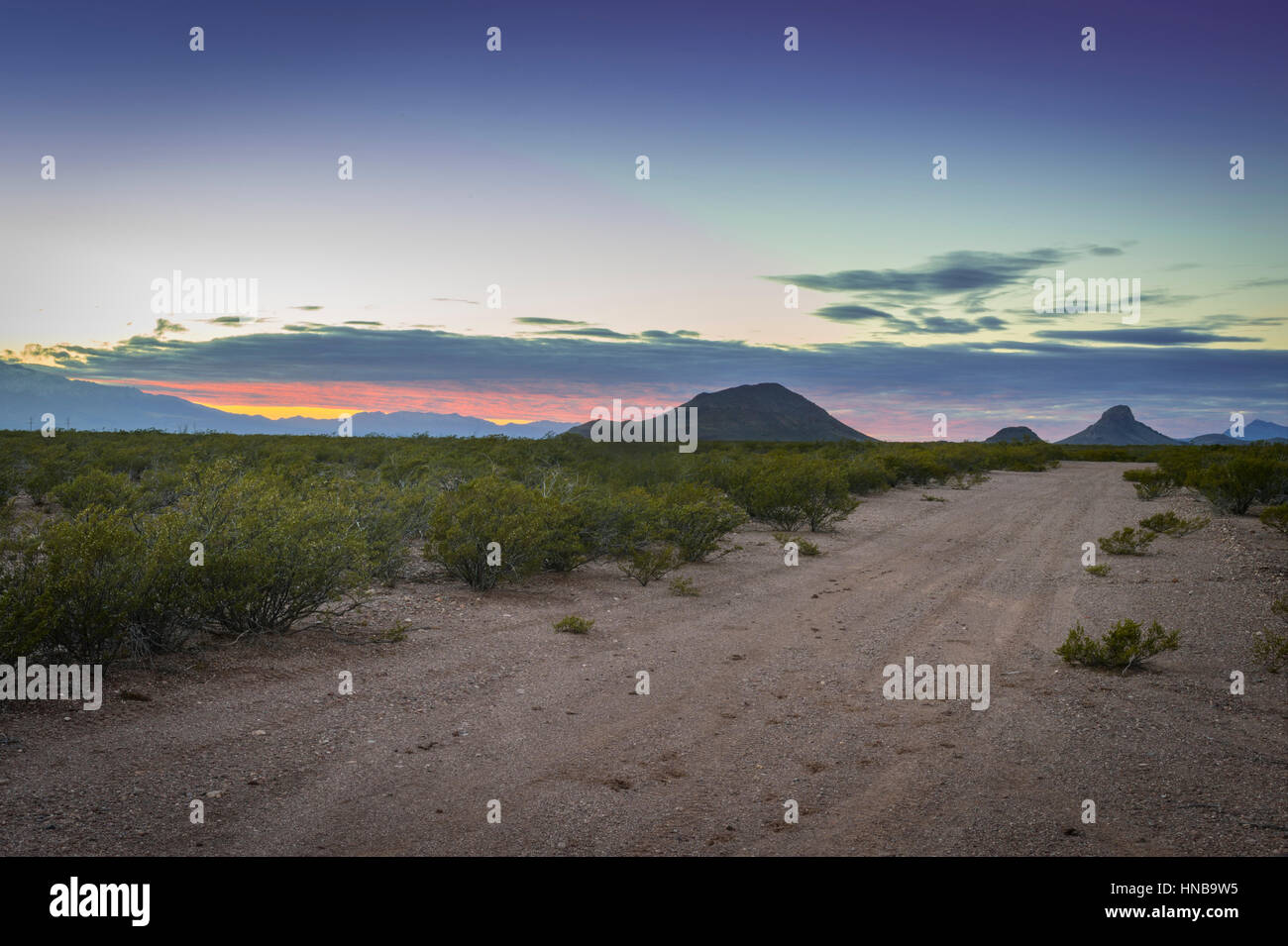 Lonely desert dirt road hi-res stock photography and images - Alamy
