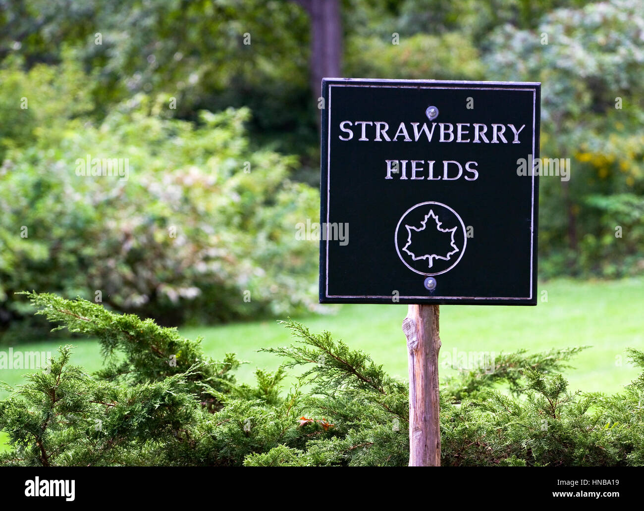 The iconic Strawberry Fields located in Central Park, Manhattan, New ...