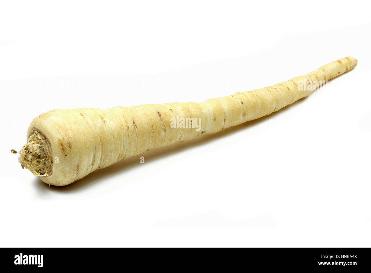 parsley root isolated on white background Stock Photo - Alamy