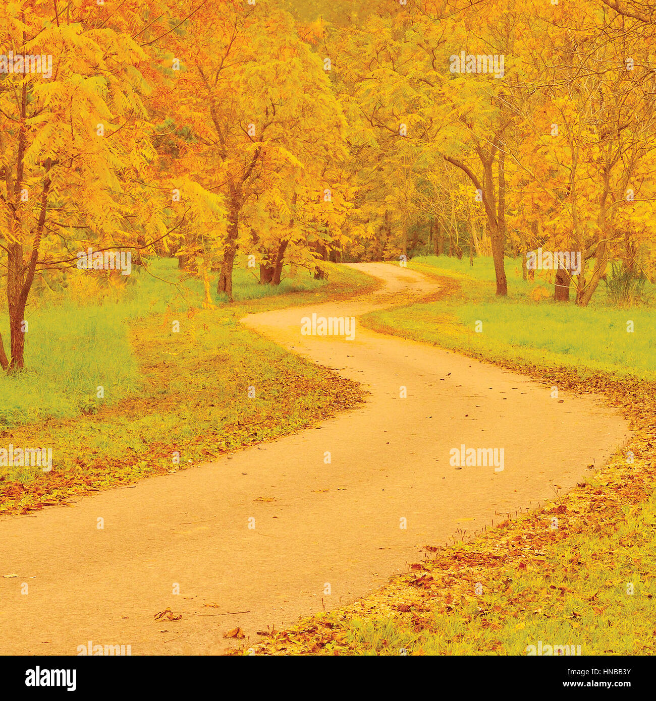 Tarmac pathway hi-res stock photography and images - Alamy