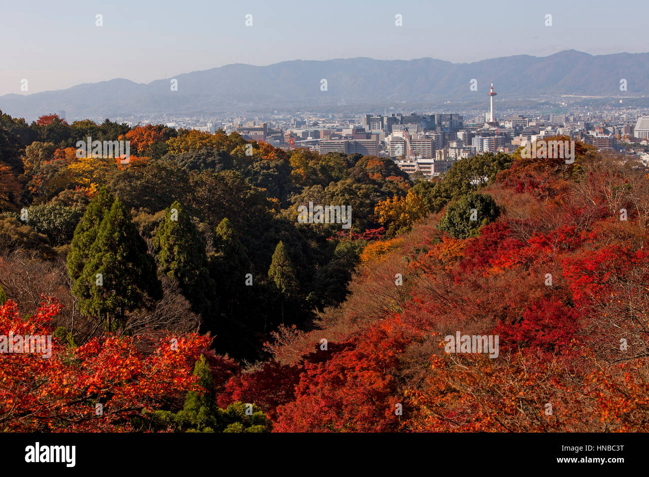 Townscape, panorama, Kyoto, Japan Stock Photo - Alamy