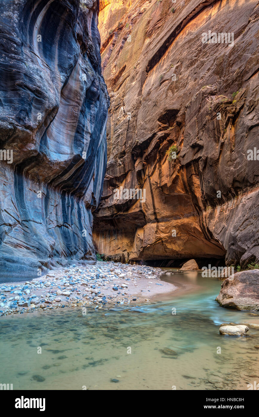 Ambient Light of the Narrows, soft light bouncing off the canyon walls ...