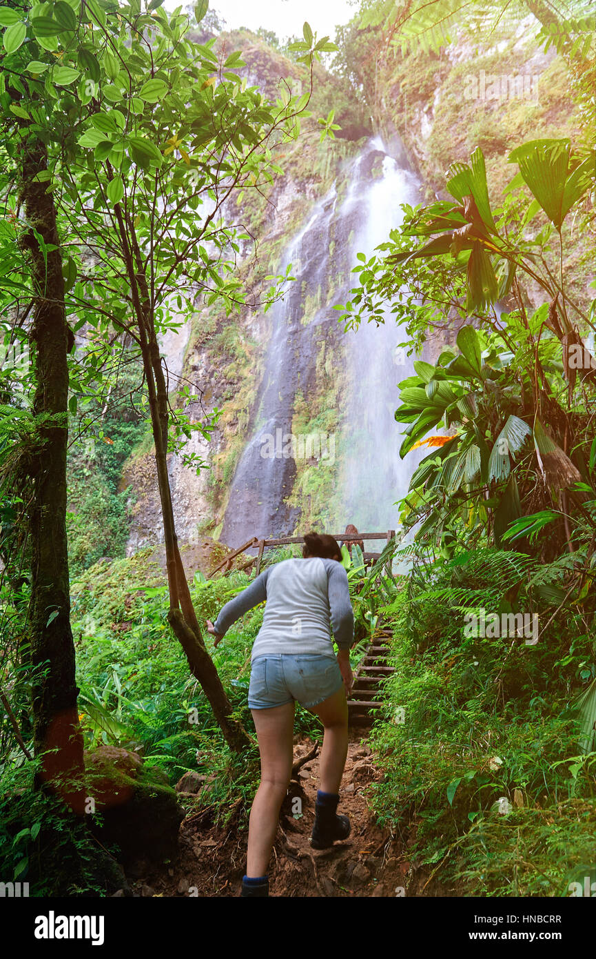 women walk to waterfall in hiking path in jungle Stock Photo - Alamy
