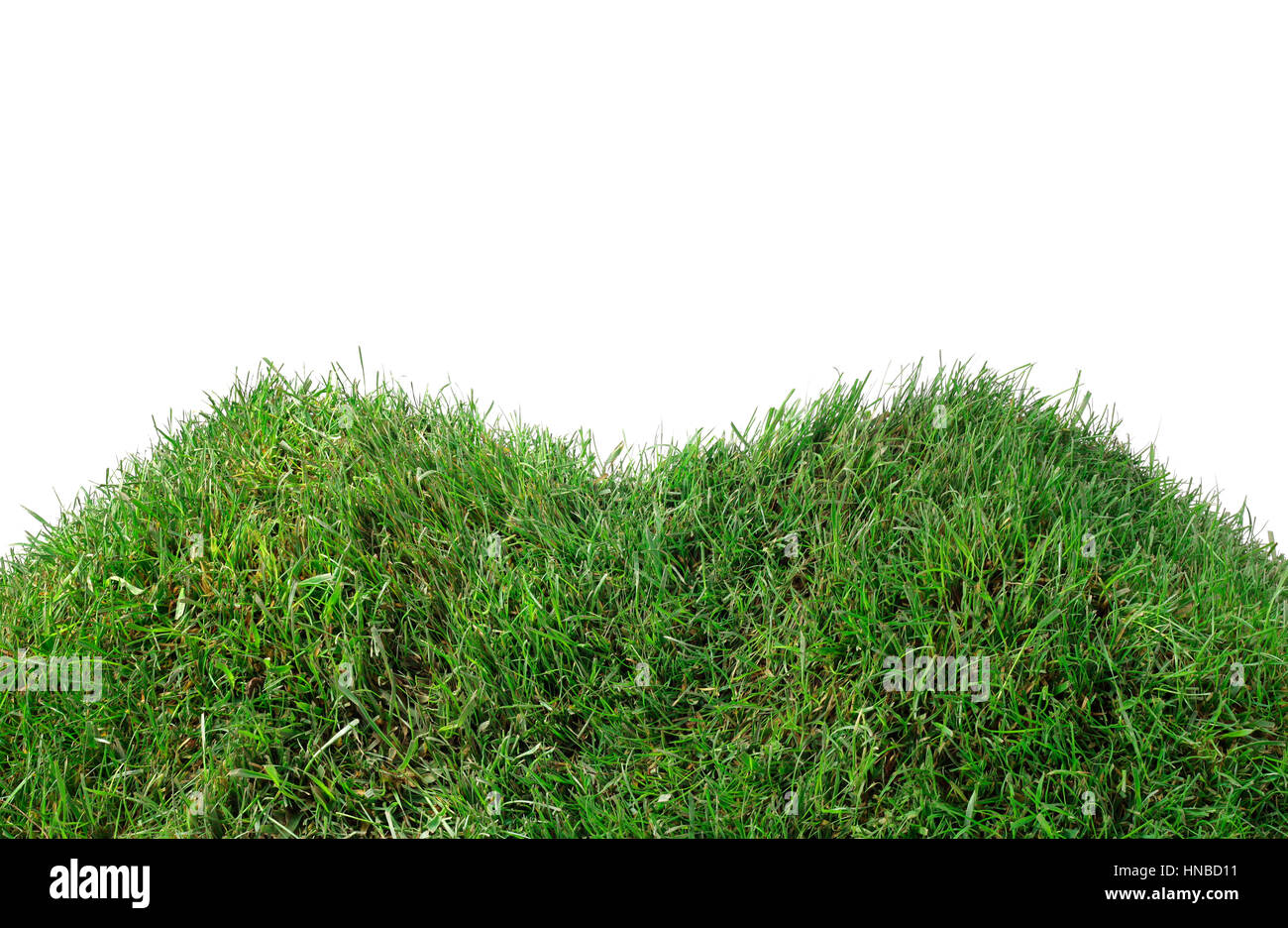 Hummock grass hi-res stock photography and images - Alamy