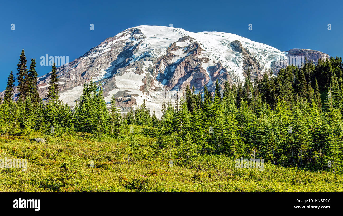 Summer on Mount Rainier. the glaciated summit of Mount rainier on a ...