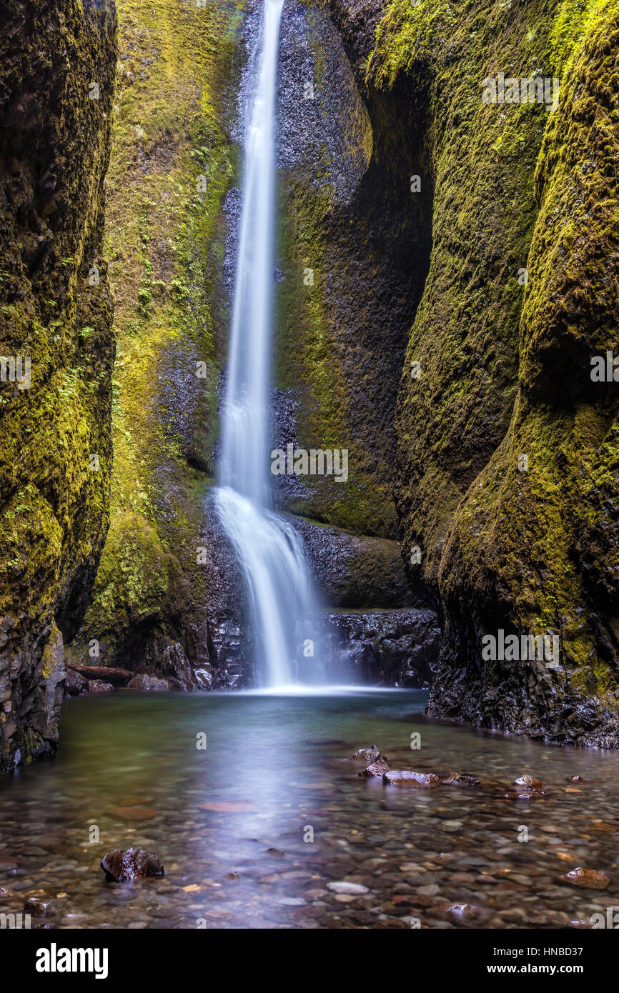 The Mystical Oneonta Falls inside the Lush Oneonta Gorge, Oregon Stock ...