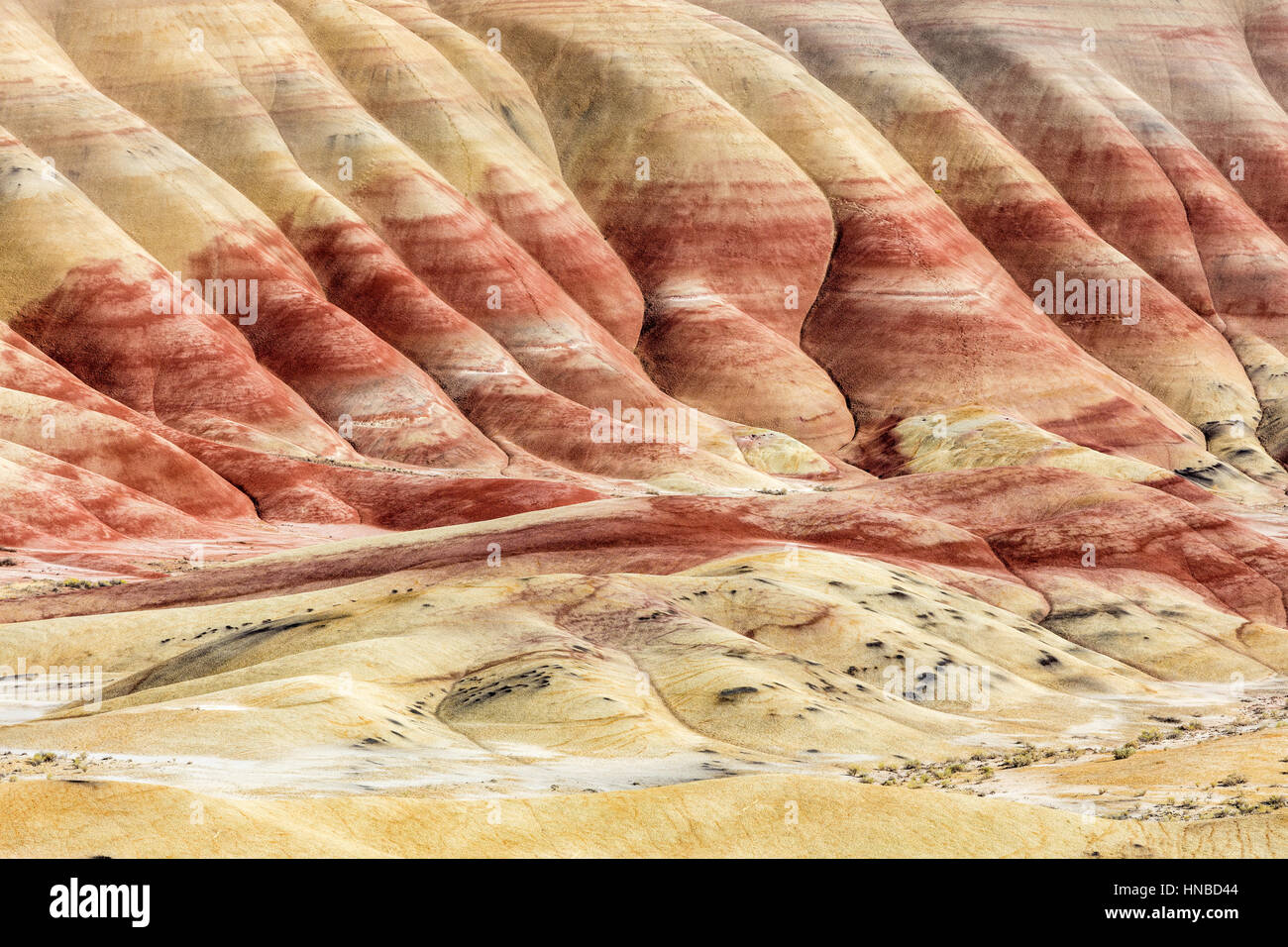 Painted Hills Landscape. Close up of the colorful landscape at Painted ...