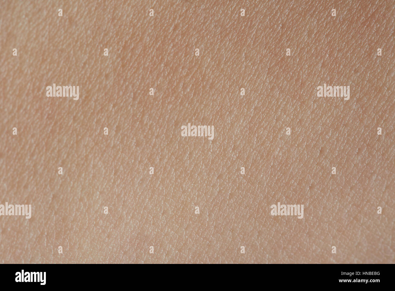 macro of clean healthy texture human skin Stock Photo - Alamy