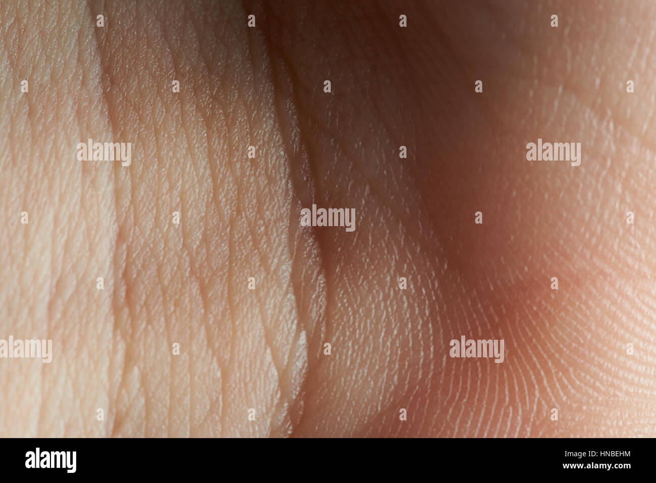 close up of wrist skin texture and lines Stock Photo - Alamy