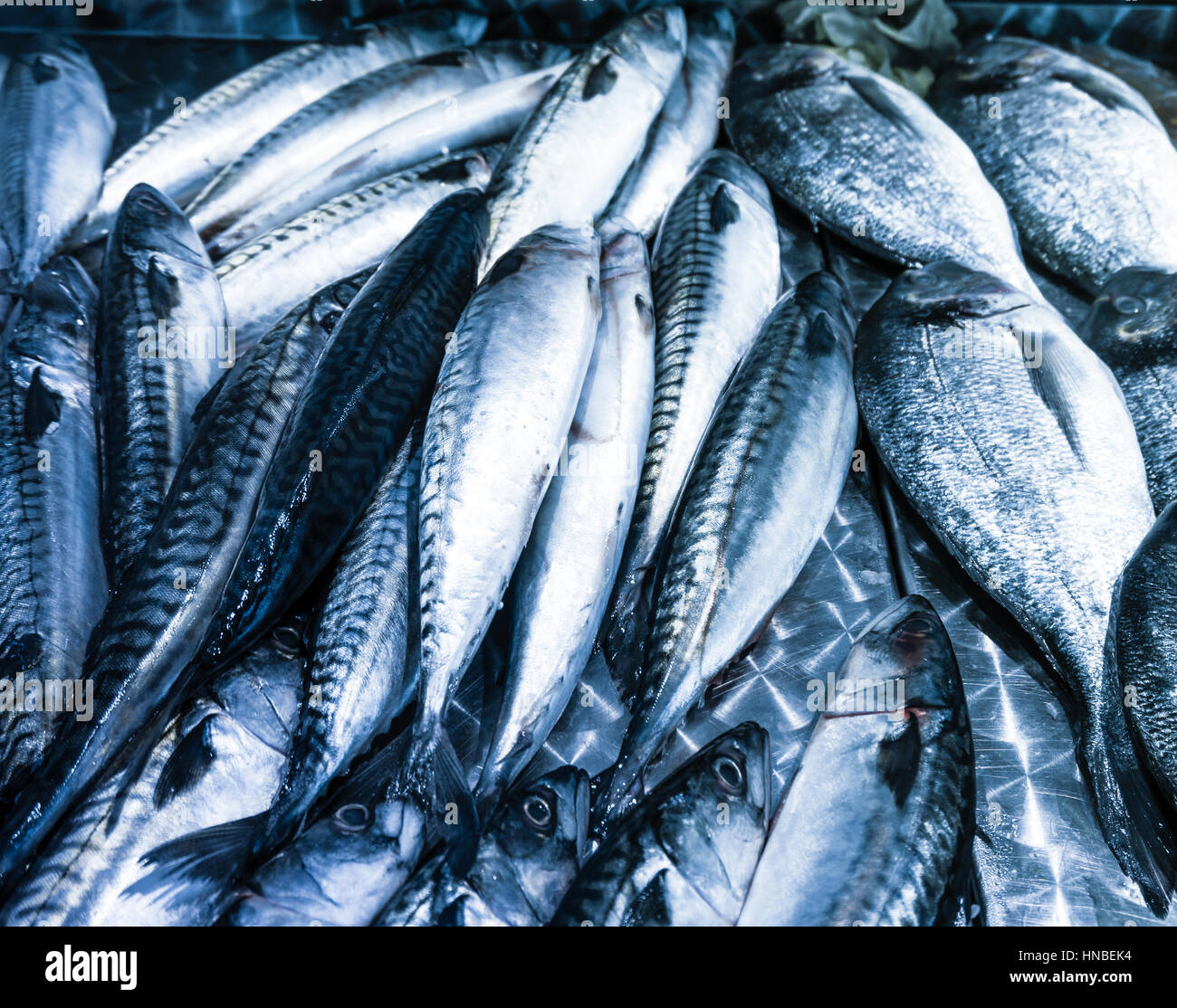 Fresh seafood. Fresh fish in the market Stock Photo - Alamy