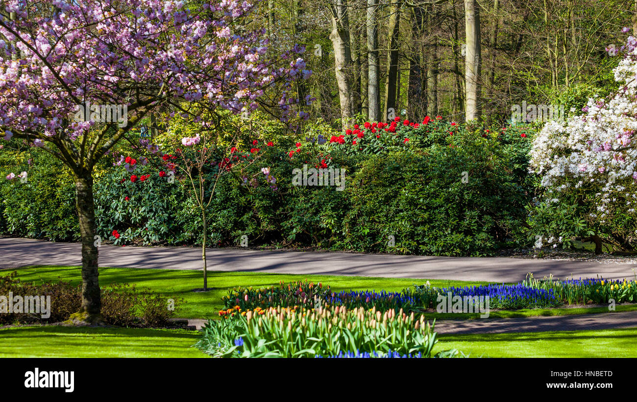Landscaped Formal Garden. Park. Beautiful Garden Stock Photo - Alamy