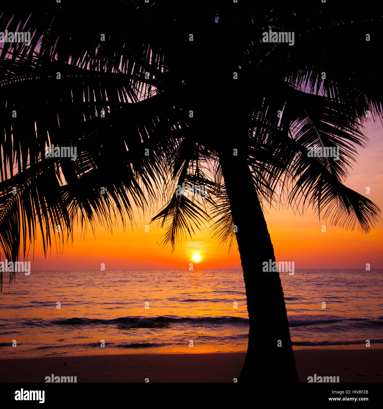 sunset landscape. beach sunset. sunset on the beach Stock Photo - Alamy