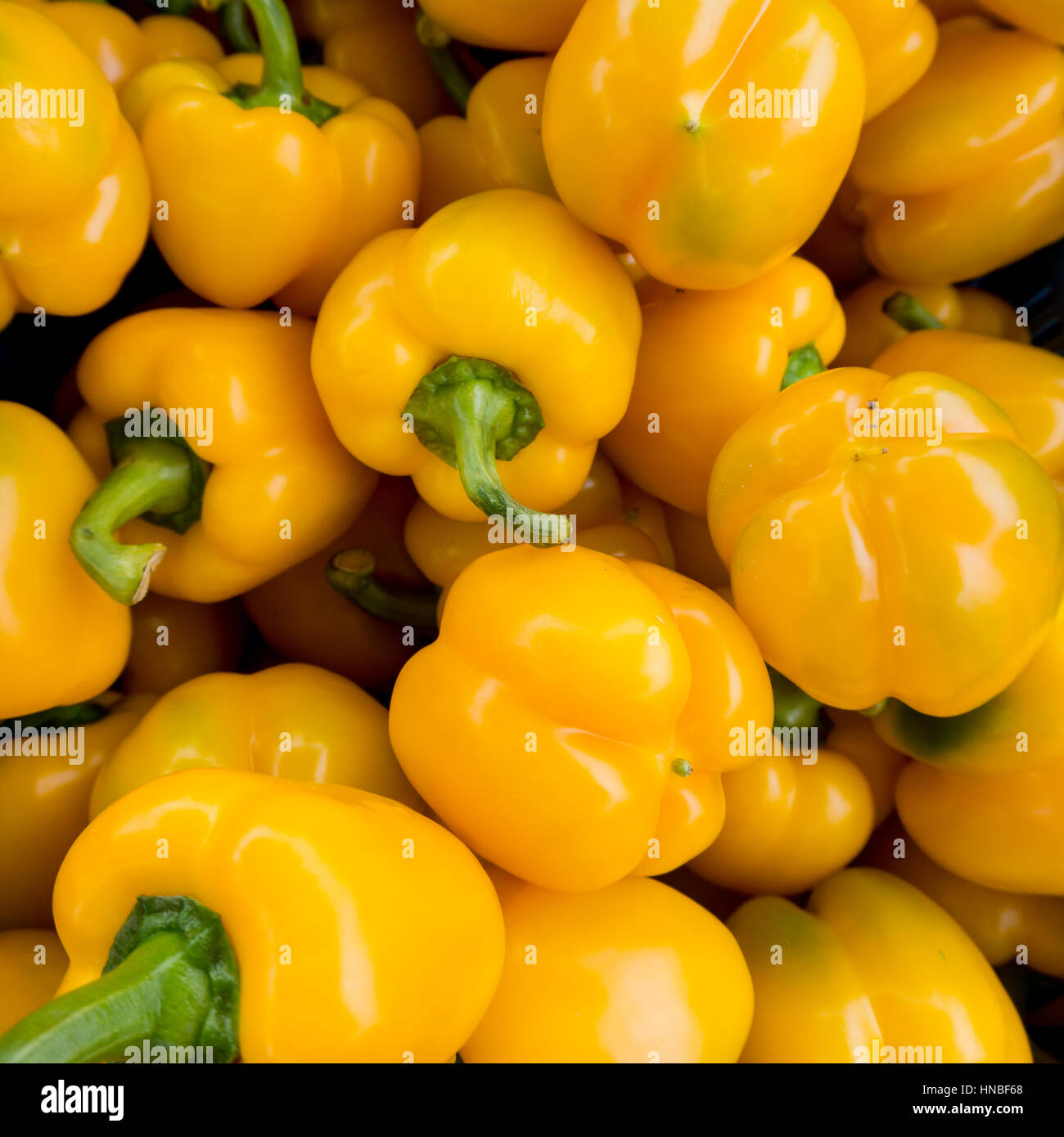 Yellow Paprika. Parika background Stock Photo - Alamy