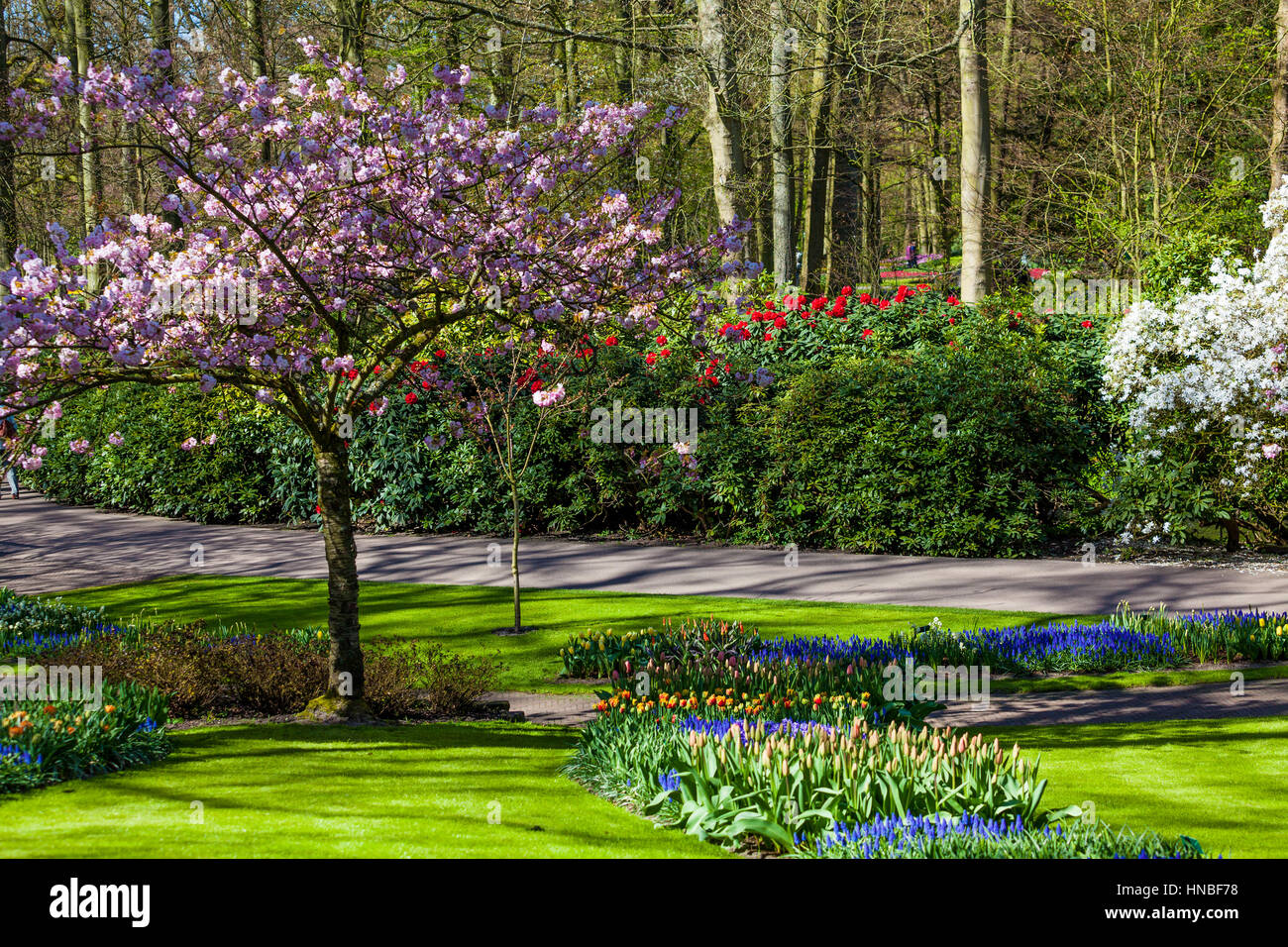 Beautiful garden in spring. Colorful flowers and blossom Stock Photo ...