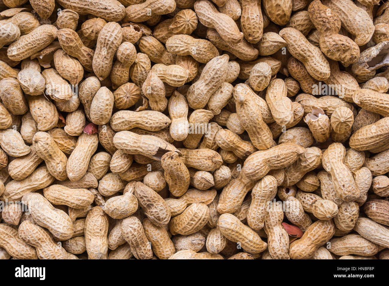 Peanuts background. Raw peanuts. Many peanuts in shells Stock Photo - Alamy