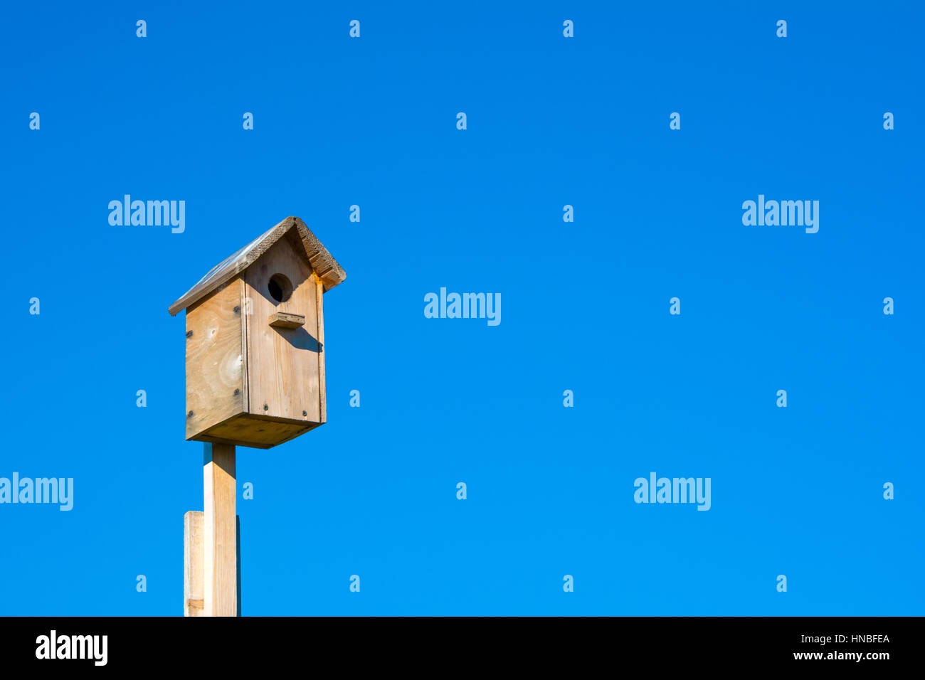 Empty owl nest box hi-res stock photography and images - Alamy