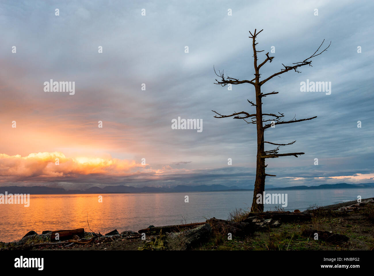 Kin beach comox valley hi-res stock photography and images - Alamy