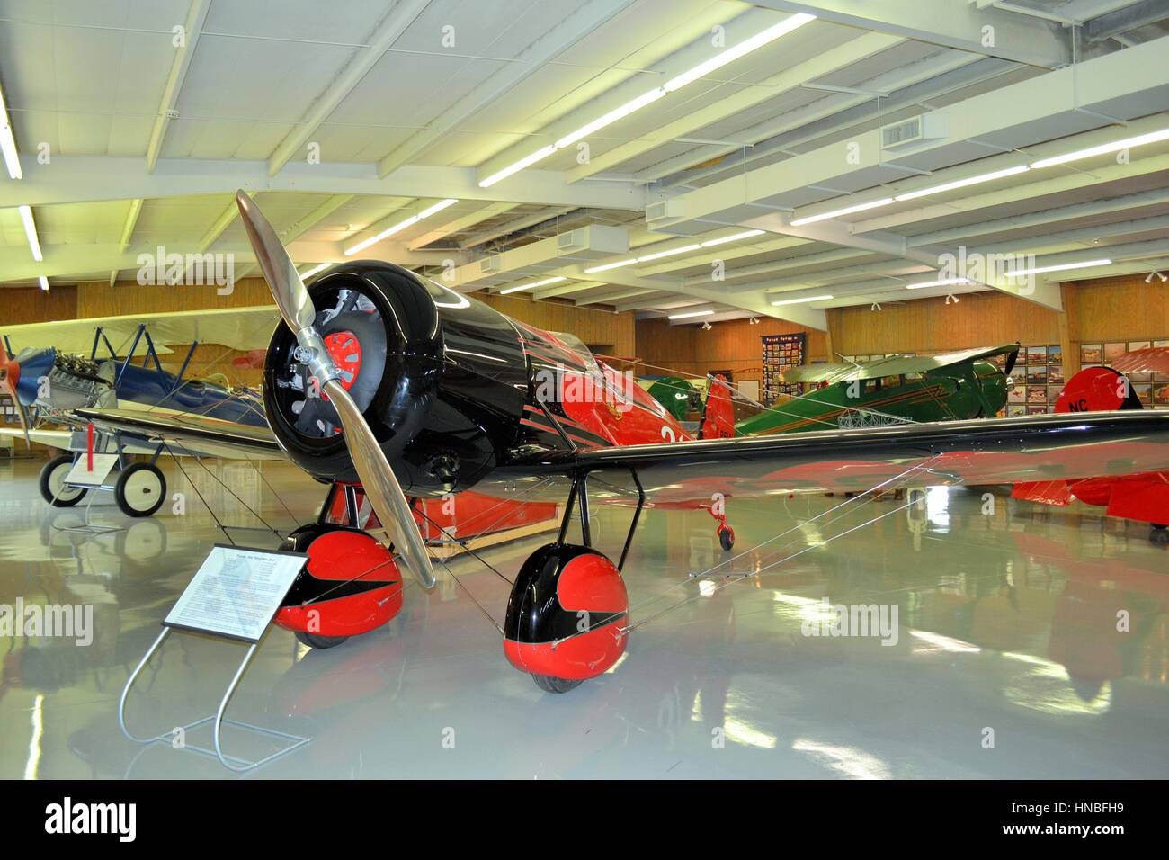 1931 turtle hi-res stock photography and images - Alamy