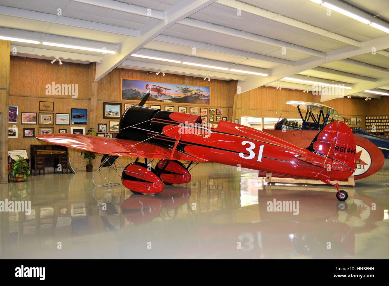 1931 turtle hi-res stock photography and images - Alamy