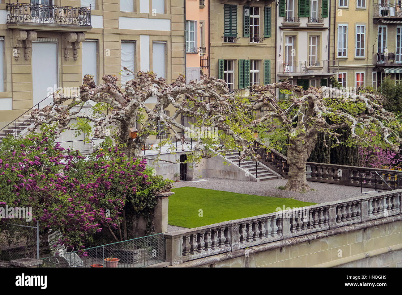 Interesting trees hi-res stock photography and images - Alamy