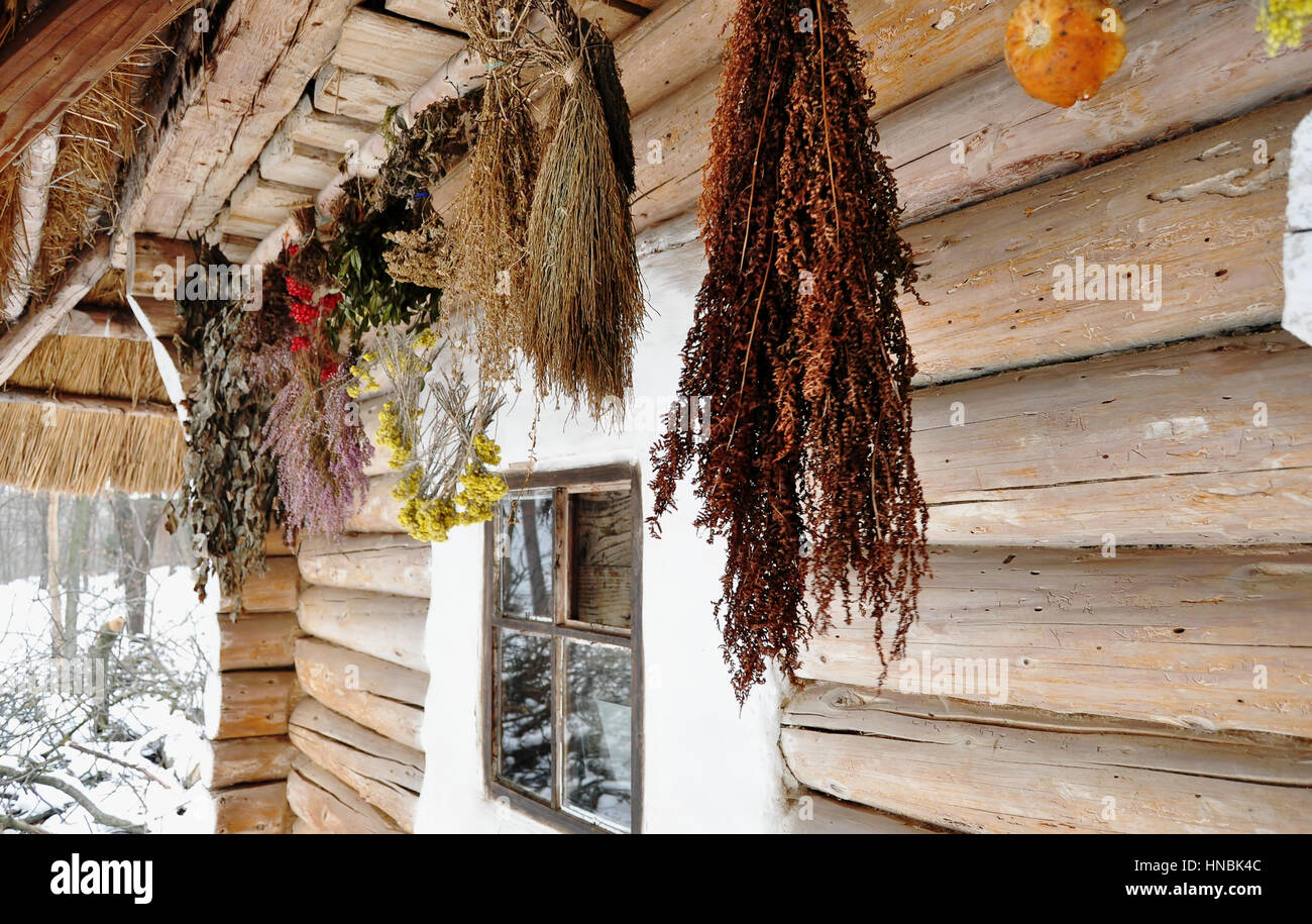 Suspended bunches of dried herbs at porch of an old ukrainian wooden ...