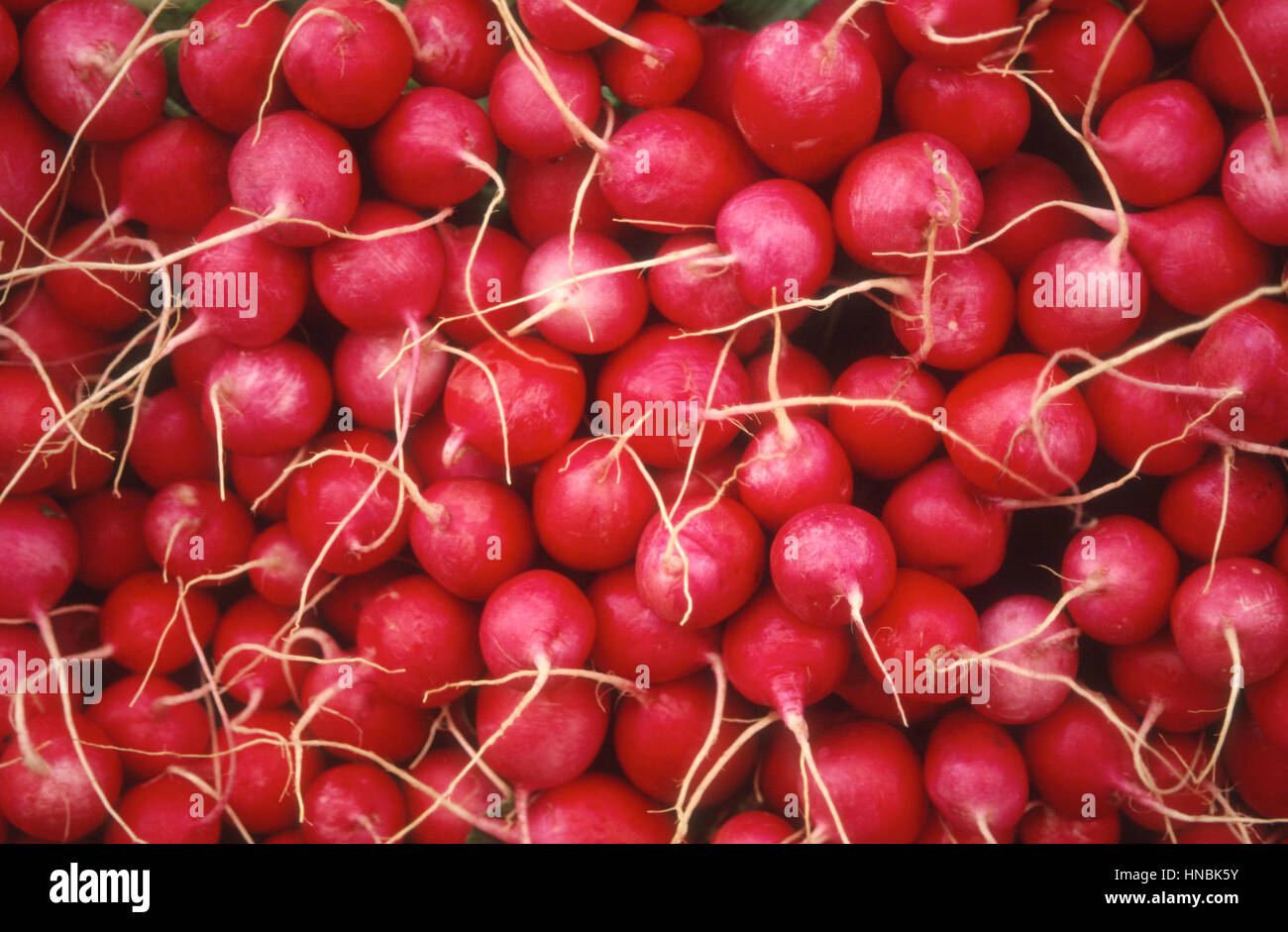 Radishes plants hi-res stock photography and images - Alamy
