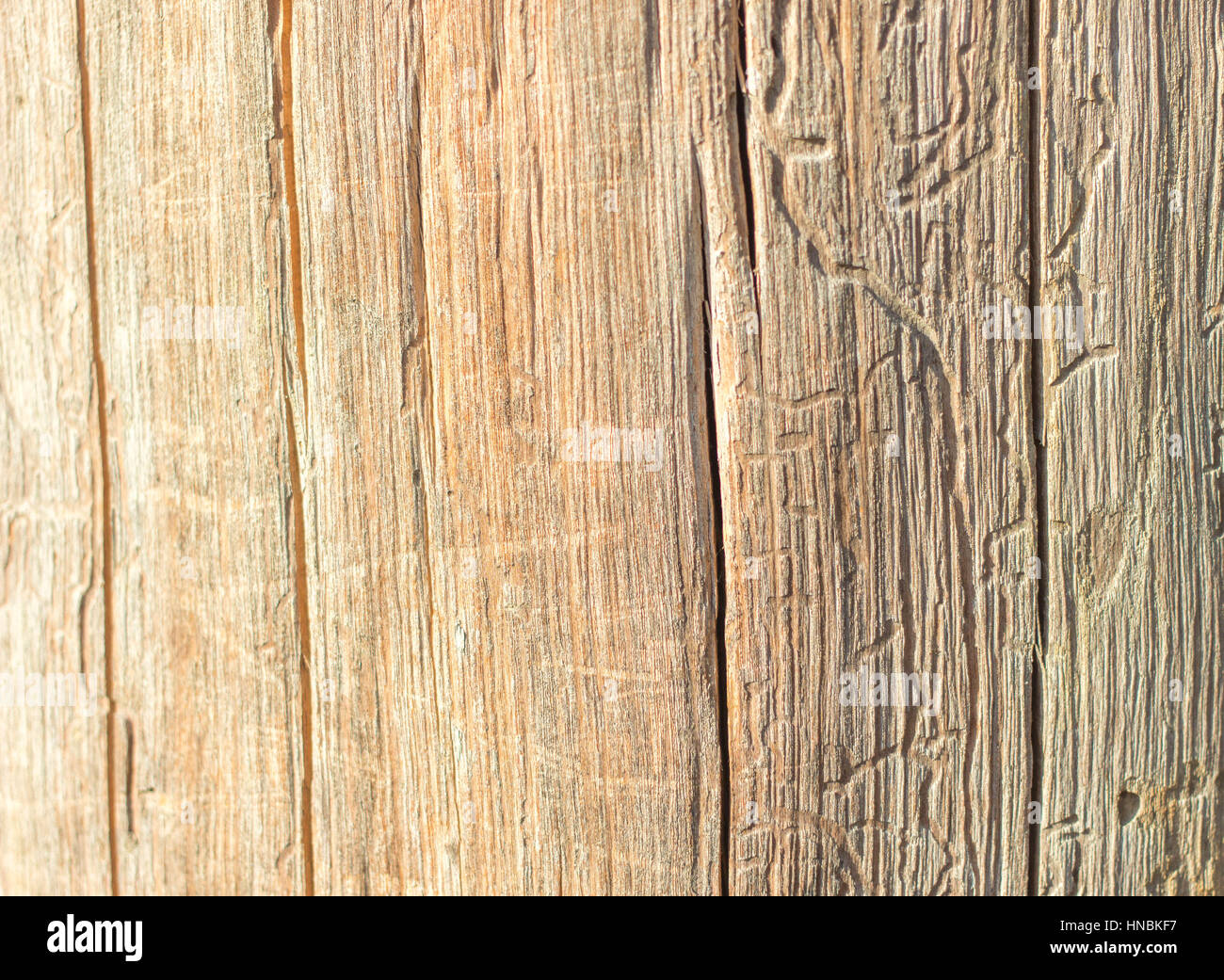 new wood texture and background ready to use Stock Photo - Alamy