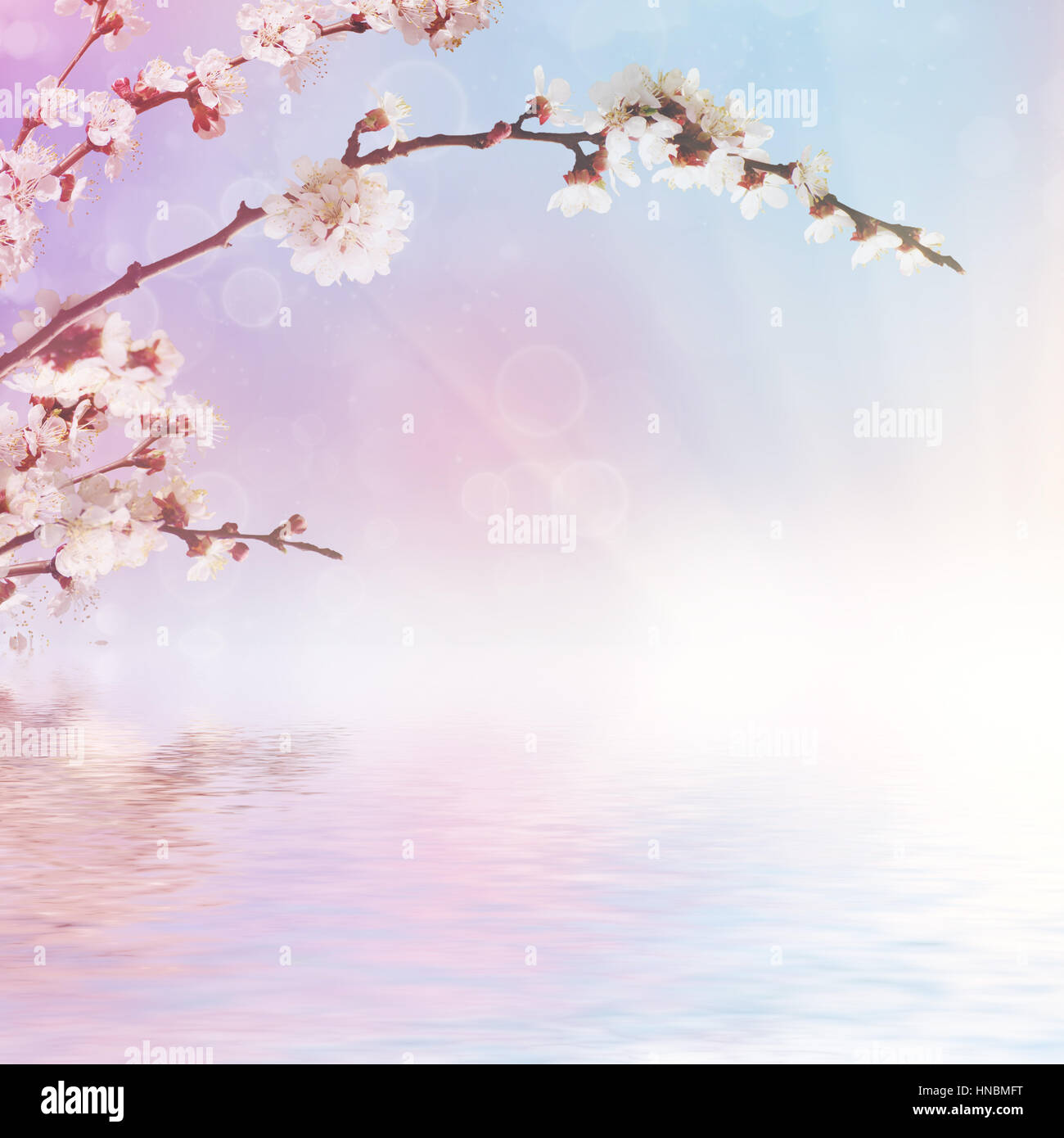 Abstract spring background Stock Photo - Alamy
