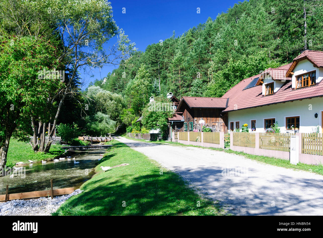 Gutenstein, Residential house in the Klostertal near Gutenstein ...