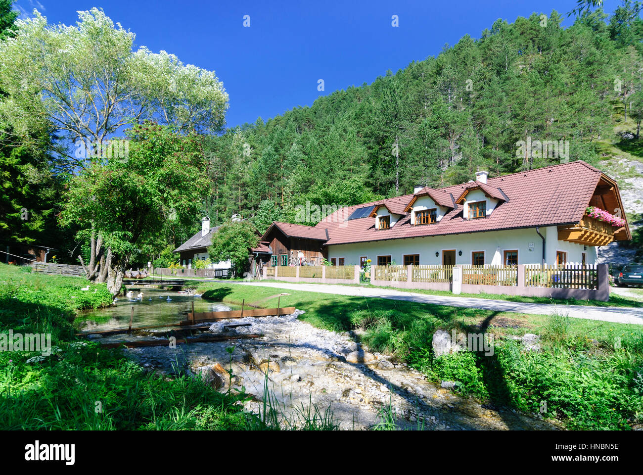 Gutenstein, Residential house in the Klostertal near Gutenstein ...