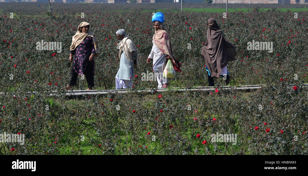 Lahore, Pakistan. 10th Feb, 2017. Pakistani laborers working in red ...