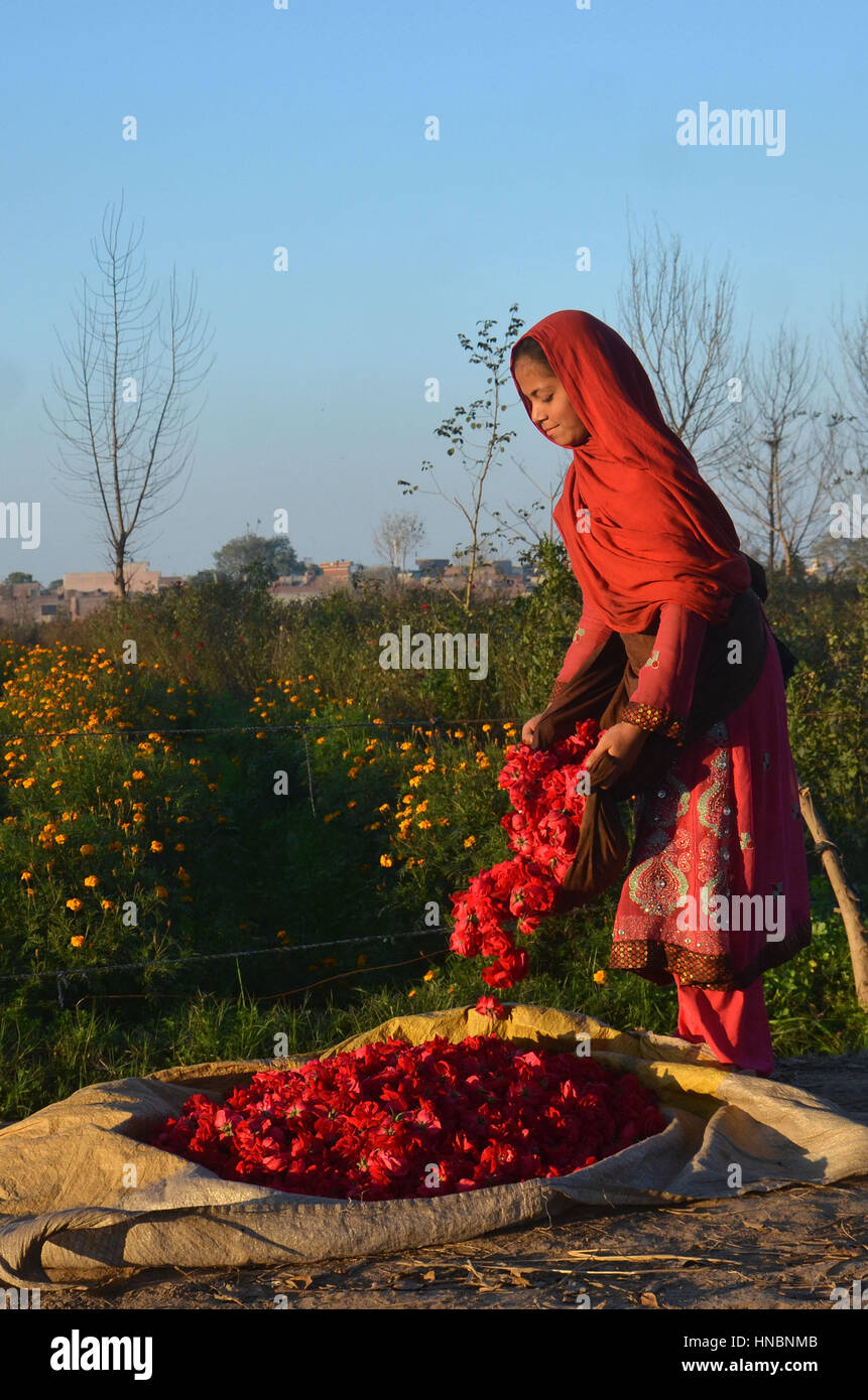 Lahore, Pakistan. 10th Feb, 2017. Pakistani laborers working in red ...