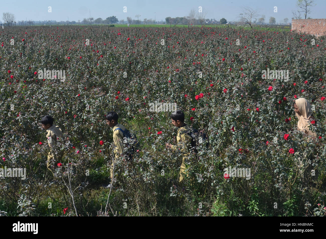 Lahore, Pakistan. 10th Feb, 2017. Pakistani laborers working in red ...
