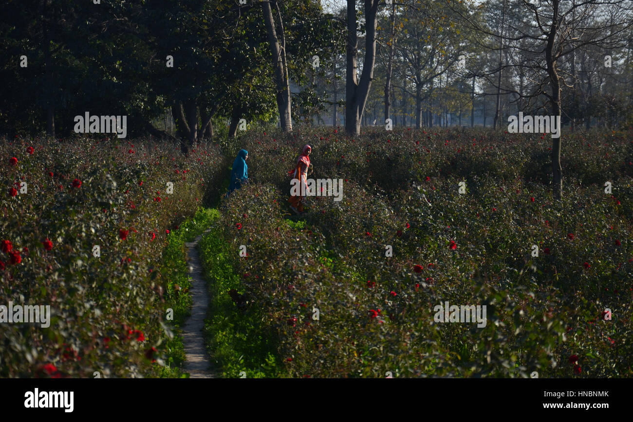 Lahore, Pakistan. 10th Feb, 2017. Pakistani laborers working in red ...