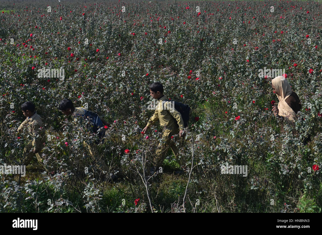 Lahore, Pakistan. 10th Feb, 2017. Pakistani laborers working in red ...